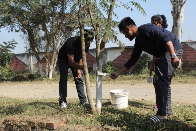 One Day Tree Plantation – MTU