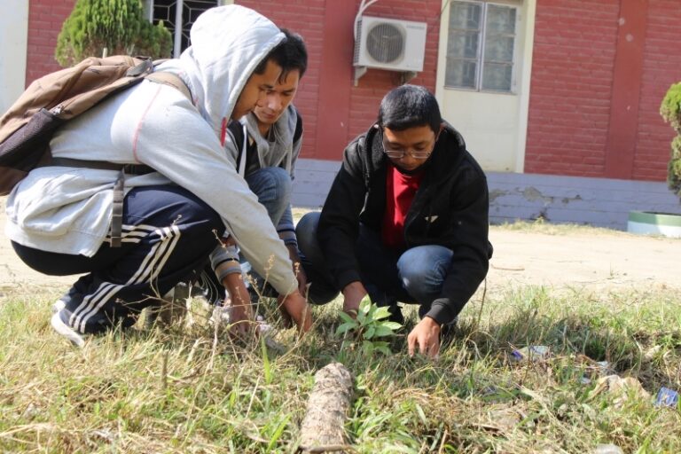 One Day Tree Plantation – MTU